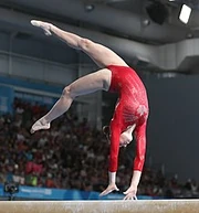 Artistic Gymnastics | Legends of the Multi Universe Wiki | Fandom