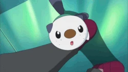 Oshawott Gif