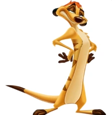 Timon | Legends of the Multi Universe Wiki | Fandom