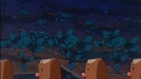 Diglett | Legends of the Multi Universe Wiki | Fandom