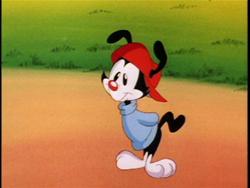 Wakko | Legends of the Multi Universe Wiki | Fandom