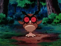 Hoothoot (Pokémon) | Legends of the Multi Universe Wiki | Fandom