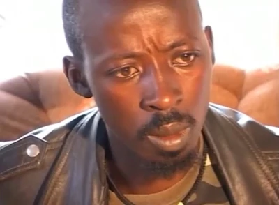 Tiger Mafia | Legends of the Multi Universe Wiki | Fandom