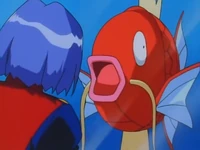 Magikarp | Legends of the Multi Universe Wiki | Fandom