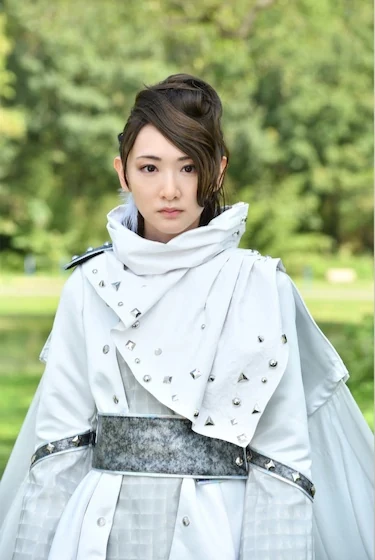 Finis (Kamen Rider) | Legends of the Multi Universe Wiki | Fandom