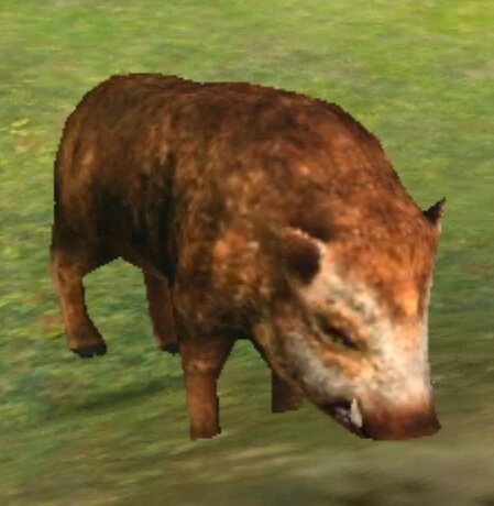 Violent Boar | Legion of Heroes Wiki | Fandom