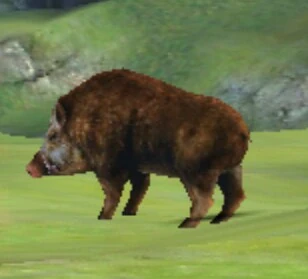 Ferocious Wild Boar | Legion of Heroes Wiki | Fandom