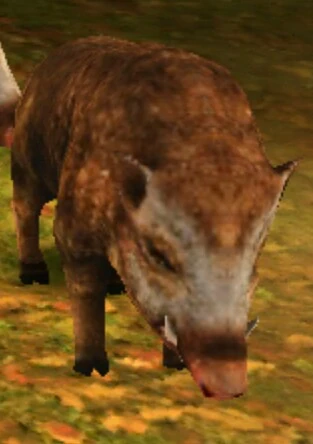 Portly Boar | Legion of Heroes Wiki | Fandom