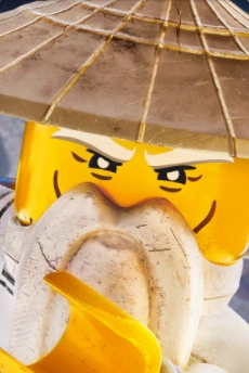 Master Wu | Lego Cenamatic Wiki | Fandom