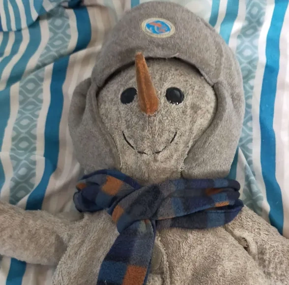 Teddy Chilly | Lego Craft Wiki | Fandom