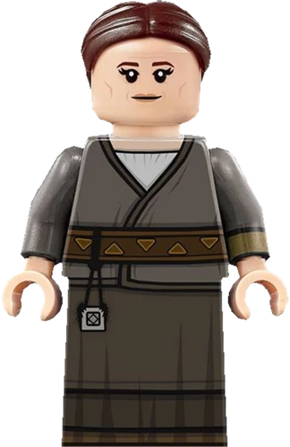 Shmi Skywalker Lars (CJDM1999) | LEGO Dimensions Customs Community | Fandom