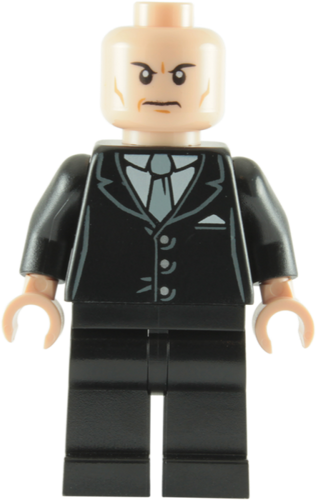 Lex Luthor (The LEGO Movie) (CJDM1999) | LEGO Dimensions Customs ...