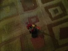 Fiona Calnova (The Eeveelution Master) | LEGO Dimensions Customs ...