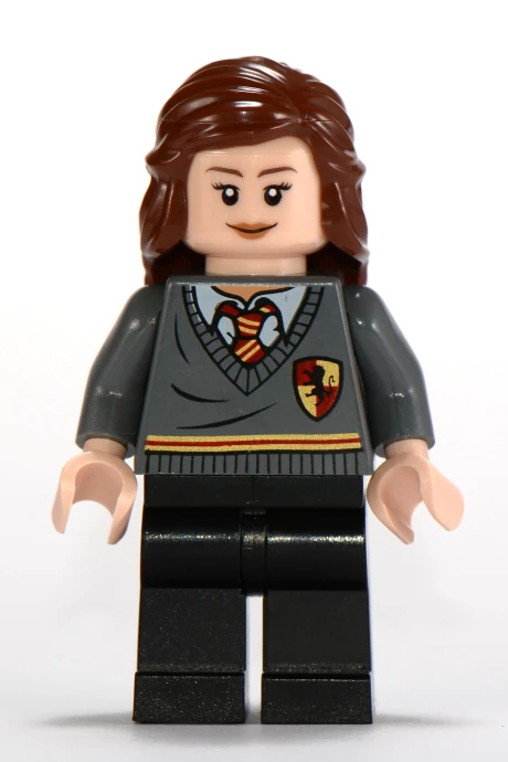 Hermione Granger | LEGO Harry Potter Sets Wiki | Fandom
