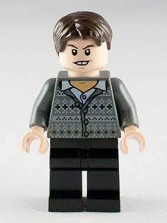 Neville Longbottom | LEGO Harry Potter Sets Wiki | Fandom