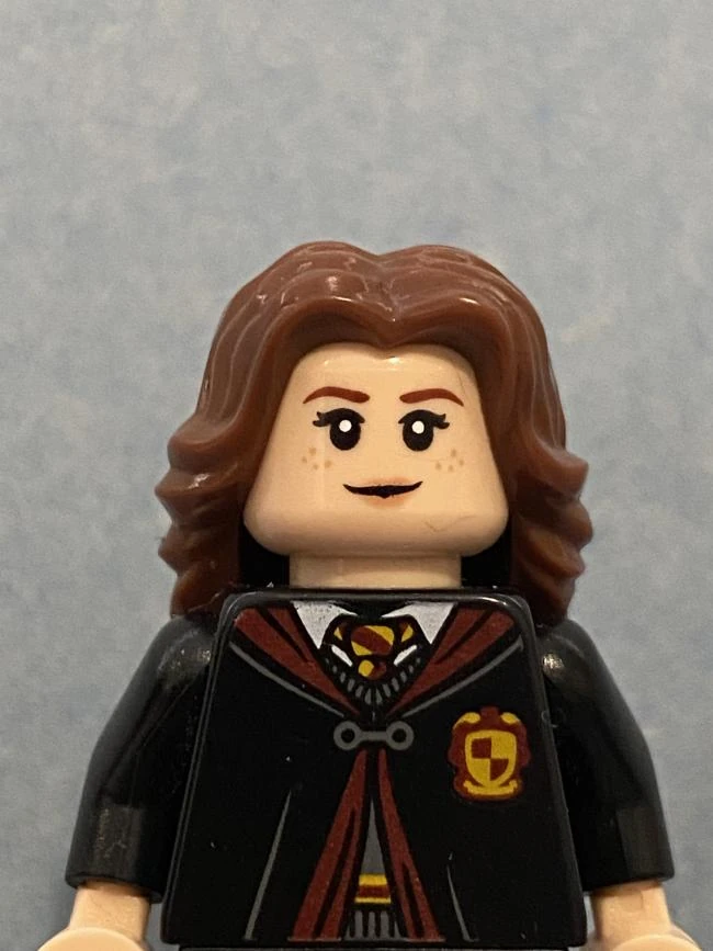 Hermione Granger | LEGO Harry Potter Universe Wiki | Fandom