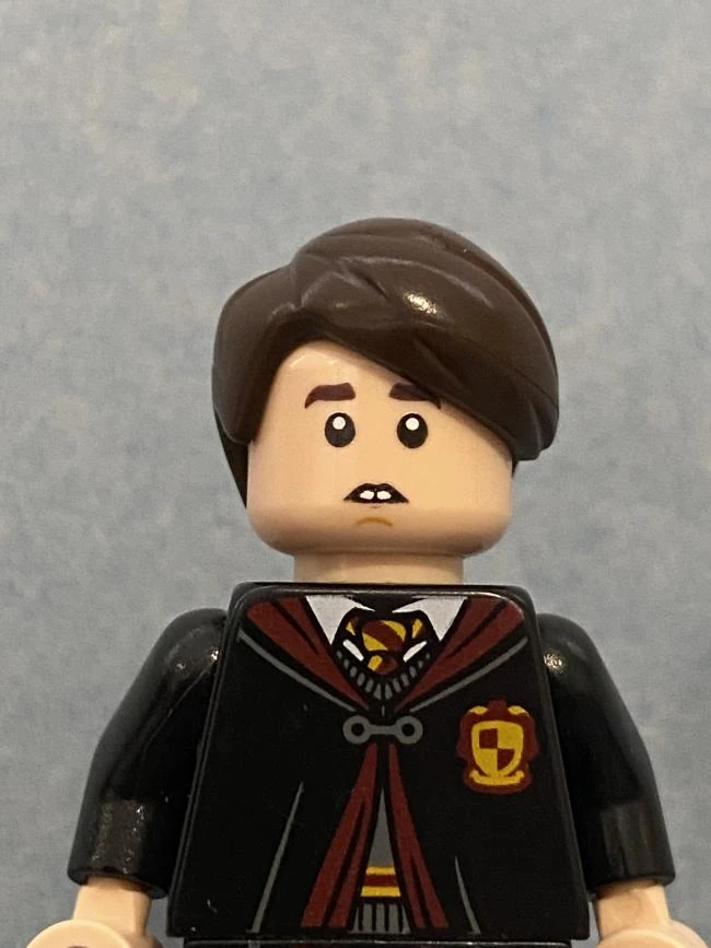 Neville Longbottom | LEGO Harry Potter Universe Wiki | Fandom