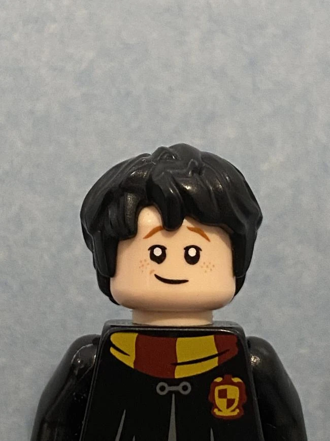 Geoff Smidinjer | LEGO Harry Potter Universe Wiki | Fandom