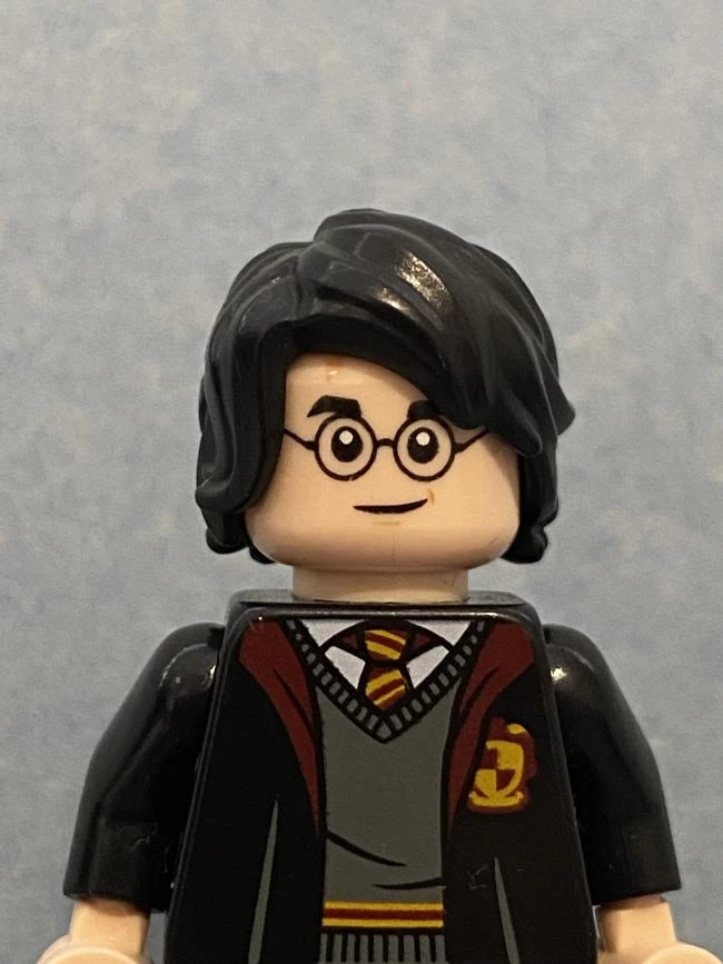 Harry Potter | LEGO Harry Potter Universe Wiki | Fandom