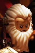 Balin | LEGO Lord of the Rings Wiki | Fandom