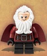 Balin | LEGO Lord of the Rings Wiki | Fandom