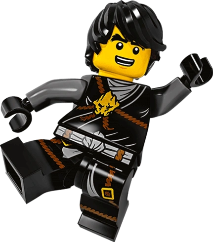Cole | LEGO Mati Wiki | Fandom