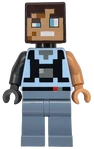 Dimensional Defender | LEGO Minecraft Wiki | Fandom