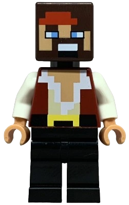 Swashbuckler | LEGO Minecraft Wiki | Fandom