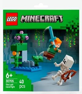The Lush Cave Fight | LEGO Minecraft Wiki | Fandom