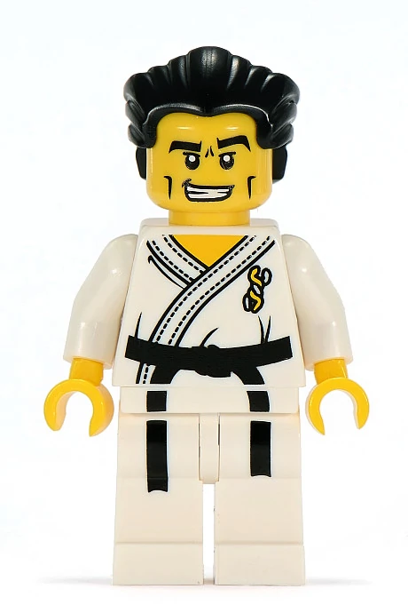 Karate Master | LEGO Minifigure Series Wiki | Fandom
