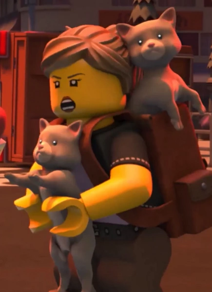Katzen | Lego Ninjago Wiki | Fandom