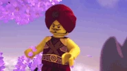 Elementarkräfte | Lego Ninjago Wiki | Fandom