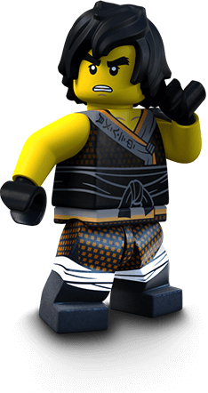 Cole | Lego Ninjago Wiki | Fandom