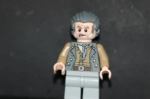 Joshamee Gibbs | Lego Pirates of the Caribbean Wiki | Fandom