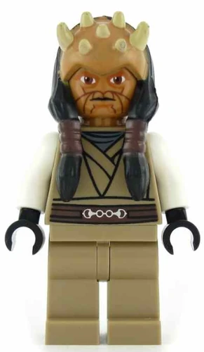 Eeth Koth | LEGO Star Wars Central Wiki | Fandom
