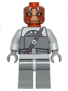 Nikto Guard | LEGO Star Wars Central Wiki | Fandom