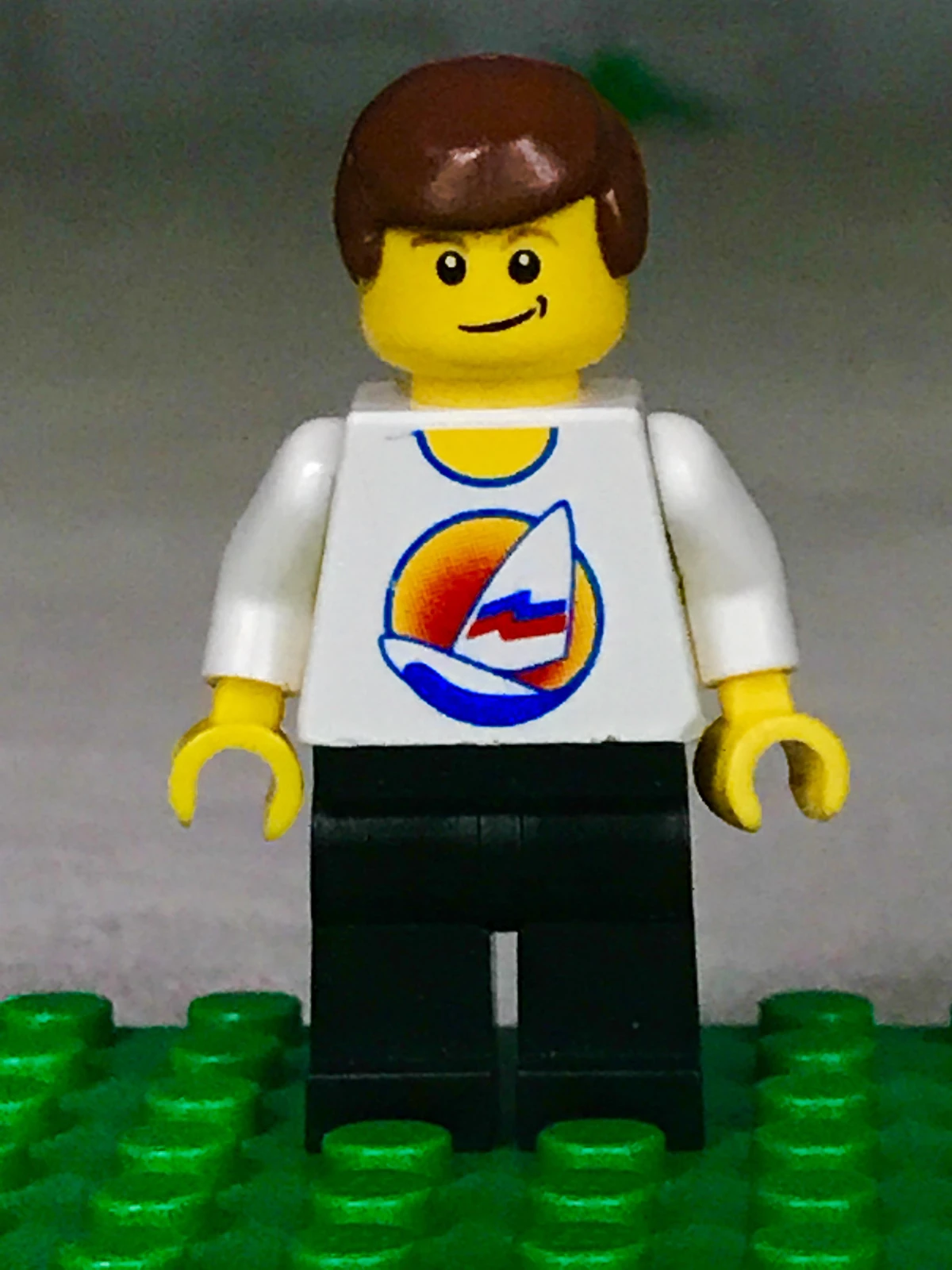 Roy | Lego Survivor Series Wiki | Fandom