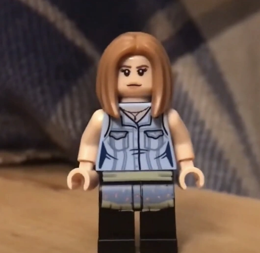 Rachel Green | Lego Survivor(LGS) Wiki | Fandom