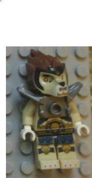 Lions | Build a Brick Wiki | Fandom