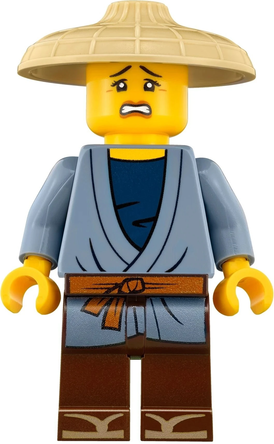 Pat | Brickipedia | Fandom