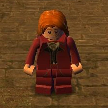 Bill Weasley | Wiki LEGO | Fandom