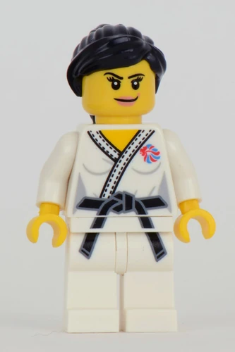 Judo Fighter | Brickipedia | Fandom