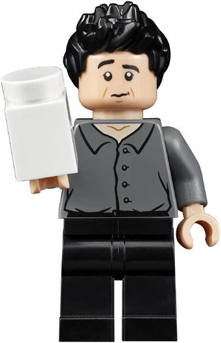 Ross Geller | Brickipedia | Fandom