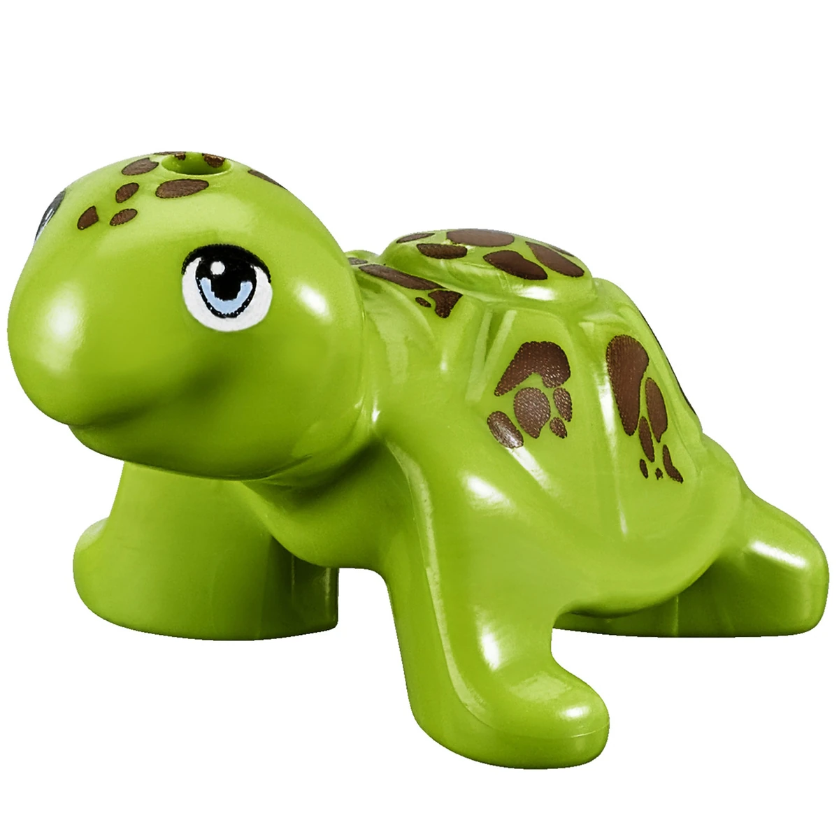 Turtle (Friends) | Brickipedia | Fandom