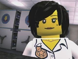 Category:Characters | LEGO City: Undercover Wiki | Fandom