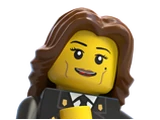 Category:Characters | LEGO City: Undercover Wiki | Fandom