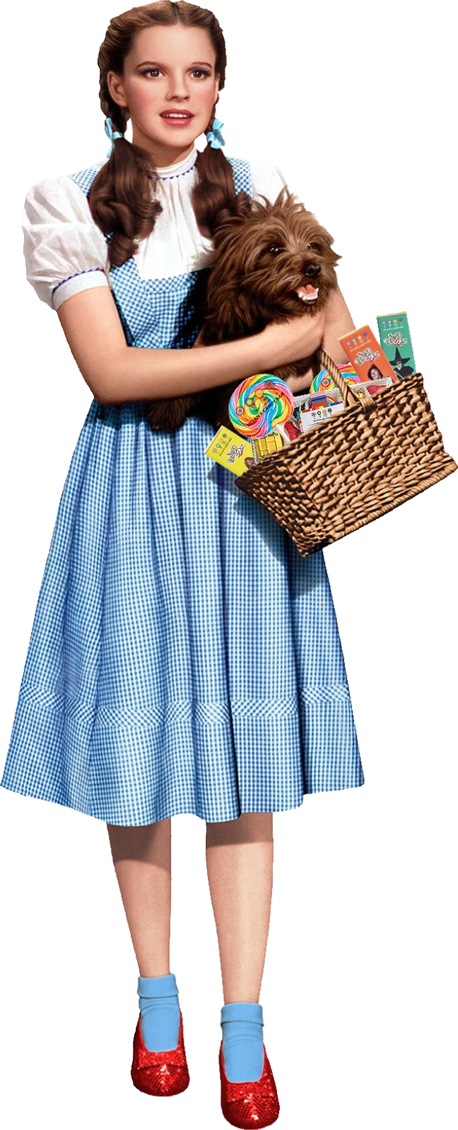 Dorothy Gale | LegoDimensions Wikia | Fandom