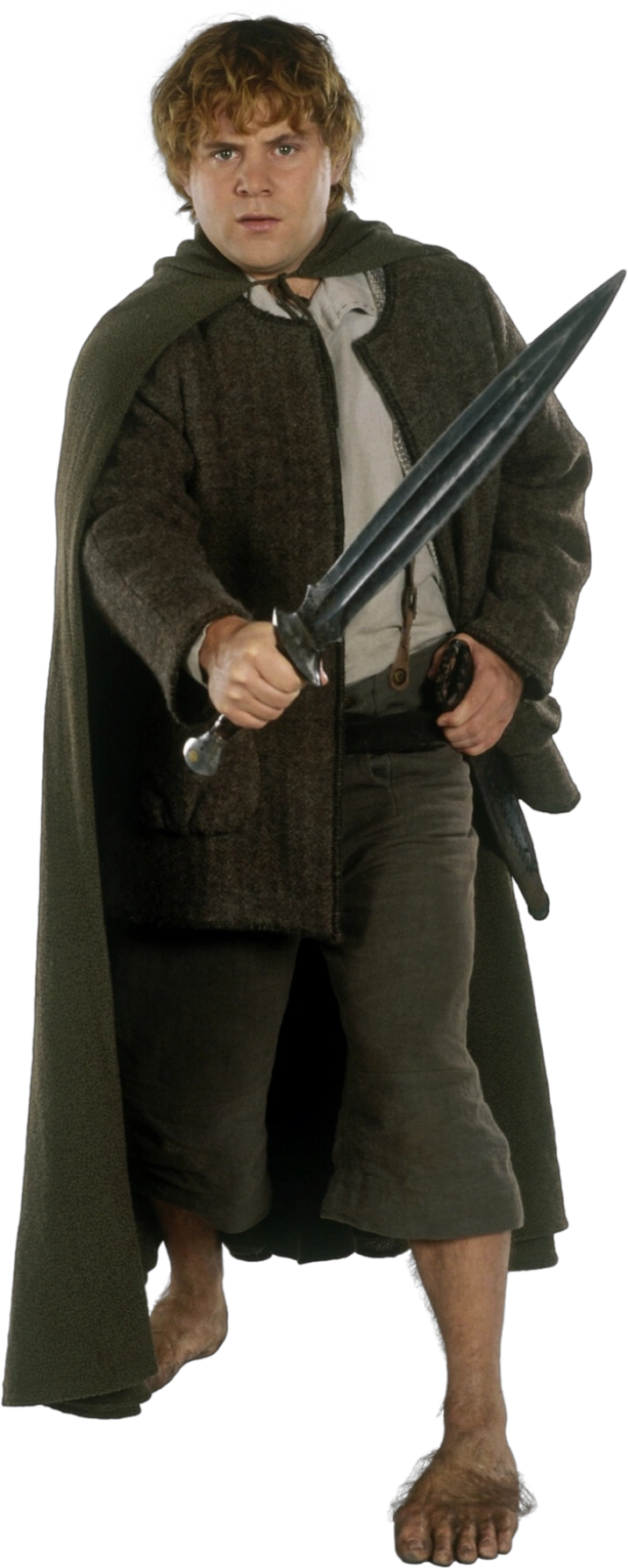 Samwise Gamgee | LegoDimensions Wikia | Fandom