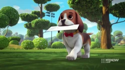 Miarella | LEGO Friends Wiki | Fandom