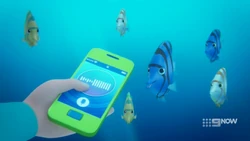 Stranded | LEGO Friends Wiki | Fandom